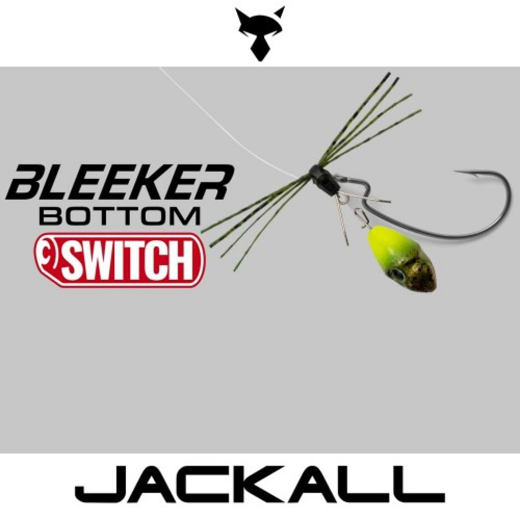 Изкуствена примамка - JACKALL Bleeker Bottom Switch 10g - mf-13710